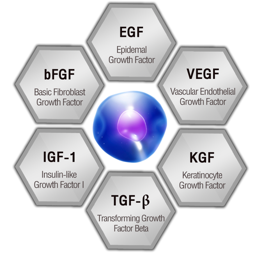 Nano Growth Factor | บริษัท เฟิร์สชาร์ม จำกัด แหล่งจัดจำหน่ายเวชภัณฑ์ ...