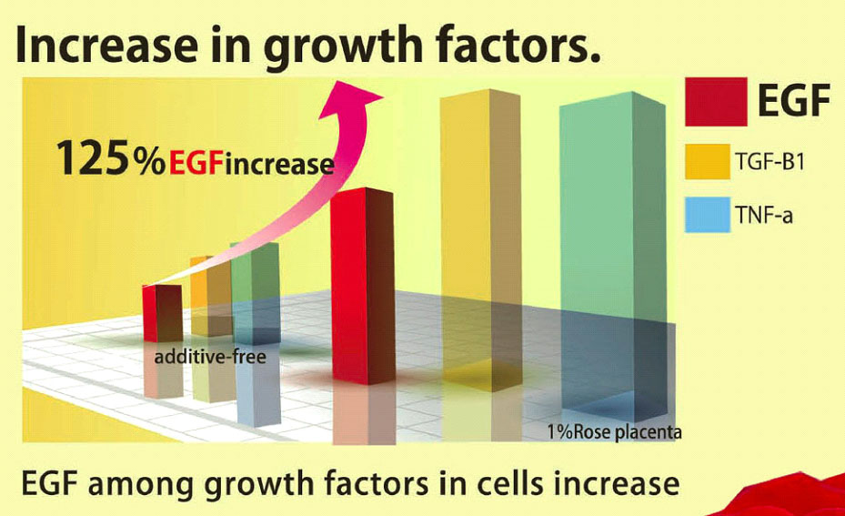 Rose Placenta Extract สารสกัดจากรกกุหลาบบัลแกเรีย | บริษัท เฟิร์สชาร์ม ...