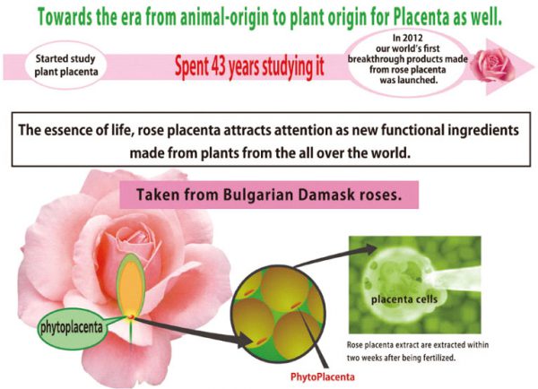 Rose Placenta Extract สารสกัดจากรกกุหลาบบัลแกเรีย | บริษัท เฟิร์สชาร์ม ...