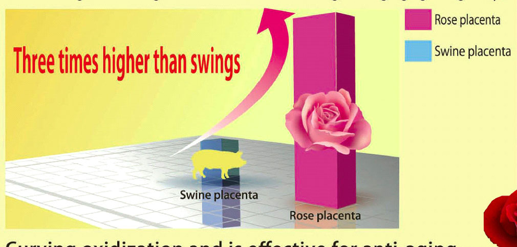 Rose Placenta Extract สารสกัดจากรกกุหลาบบัลแกเรีย | บริษัท เฟิร์สชาร์ม ...