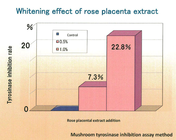 Rose Placenta Extract สารสกัดจากรกกุหลาบบัลแกเรีย | บริษัท เฟิร์สชาร์ม ...
